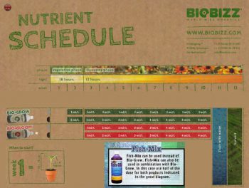 BioBizz Bio-Bloom - Online Hydroponics Shop National Distributor