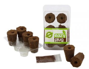 EazyPlug Plugs - Online Hydroponics Shop