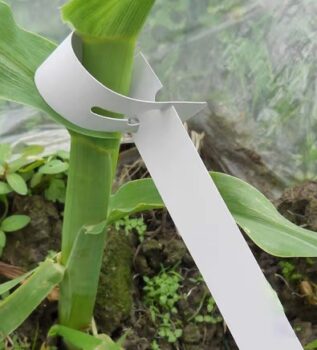 Self-Tie Plant Stem Labels - Online Hydroponics Shop