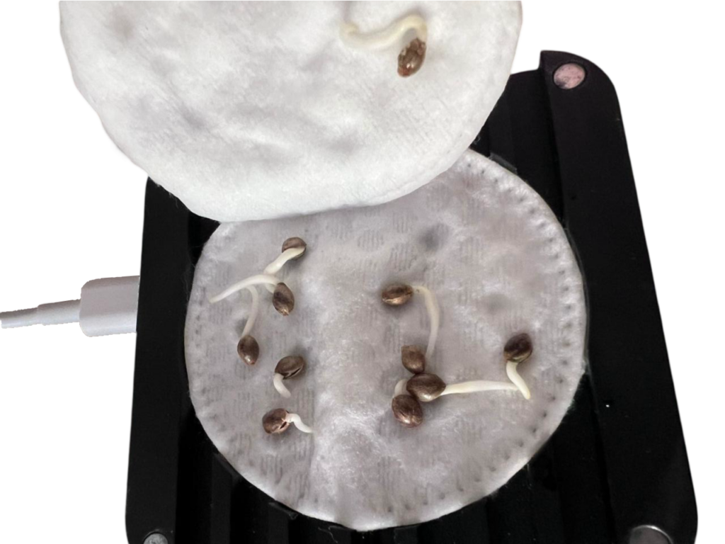 Sprout Premium Seed Germinator - Hydroponic.co.za — Growing Supplies ...