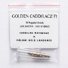 Golden Caddilacz F1 — 10 Regular Seeds | 50% Sativa, 50% Hybrid ...