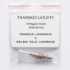 Transkei Gold F1 — 10 Regular Seeds | 100% Sativa - Hydroponic.co.za